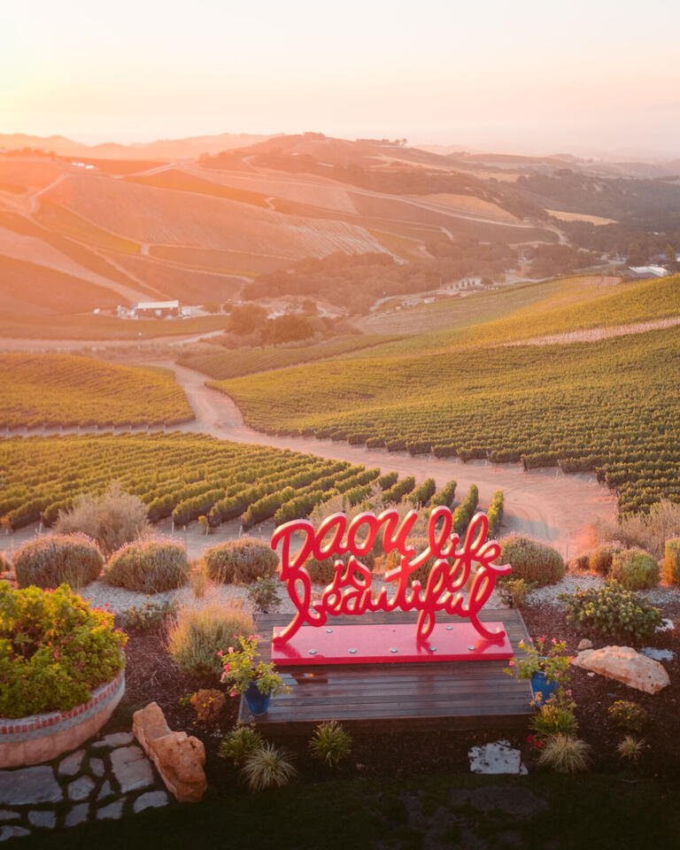 Go Slo: Paso Robles offers laid-back, experiential wine adventure ...