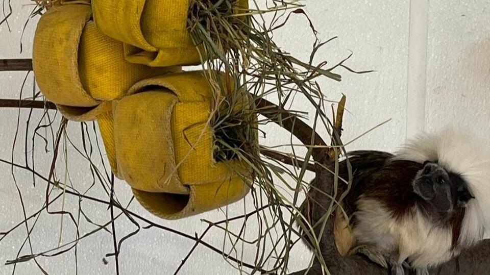 New England's Largest Zoo Makes Unusual Request to Fire Departments ...