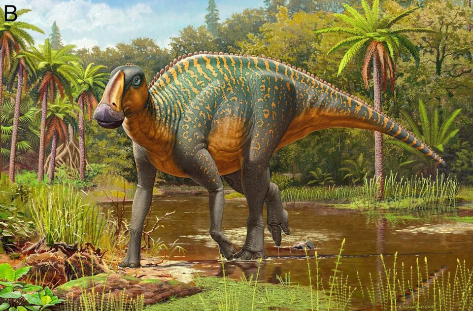 Why Some Dinosaurs Had Duck Beaks and Claws Like Bears - NewsBreak