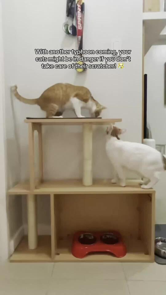 Another typhoon is approaching in the Philippines—are you aware of the ...