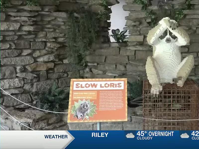 ‘Sean Kenny’s Animal Superpowers made with Lego Bricks’ coming to the ...