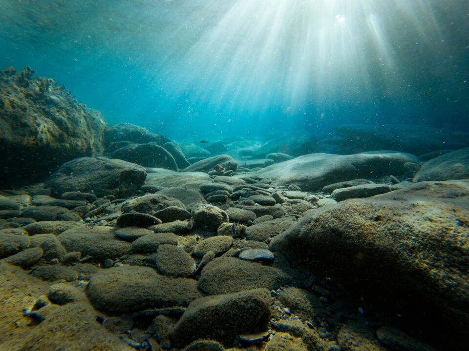 Life Beneath the Ocean Floor The Groundbreaking Discovery of Deep Sea ...