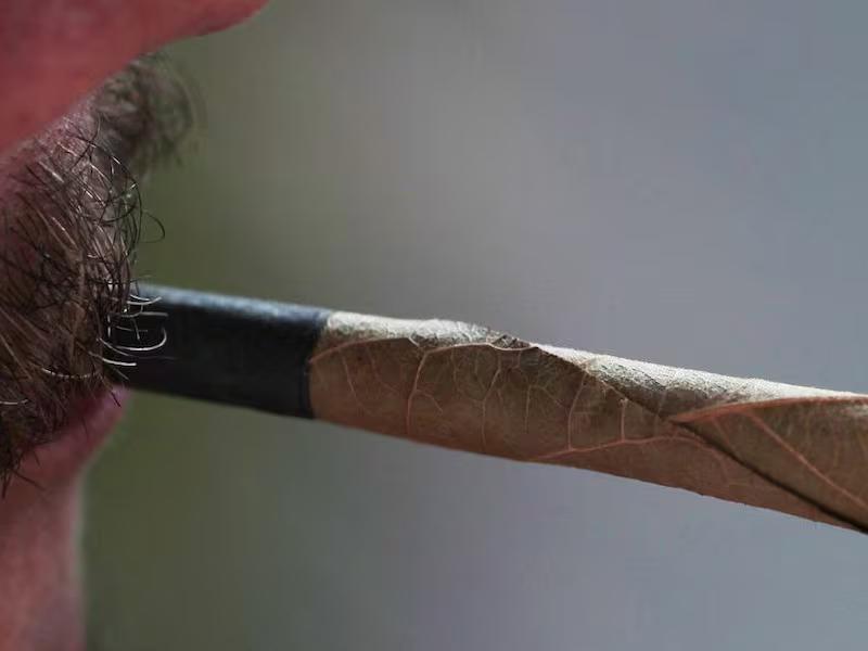 Fact Finders Digital Extra: Marijuana smoke, Marijuana & Guns ...