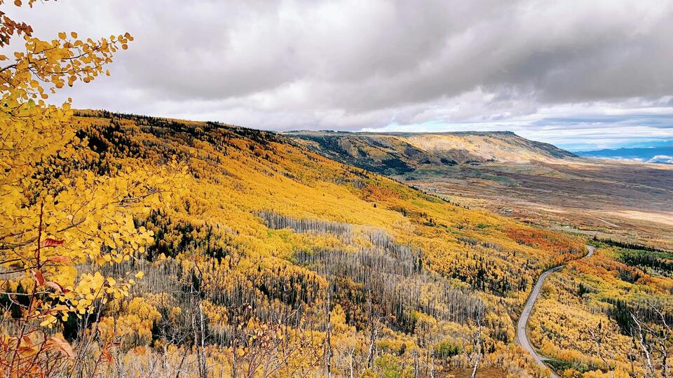 When Will Leaves Turn Near You? Breaking Down Colorado's 2026 Fall ...