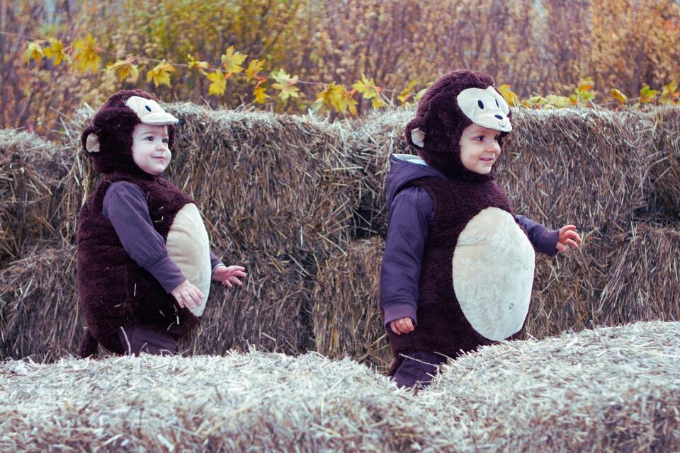 Everything You Need to Know About Missouri's Boo at the Zoo 2025 ...