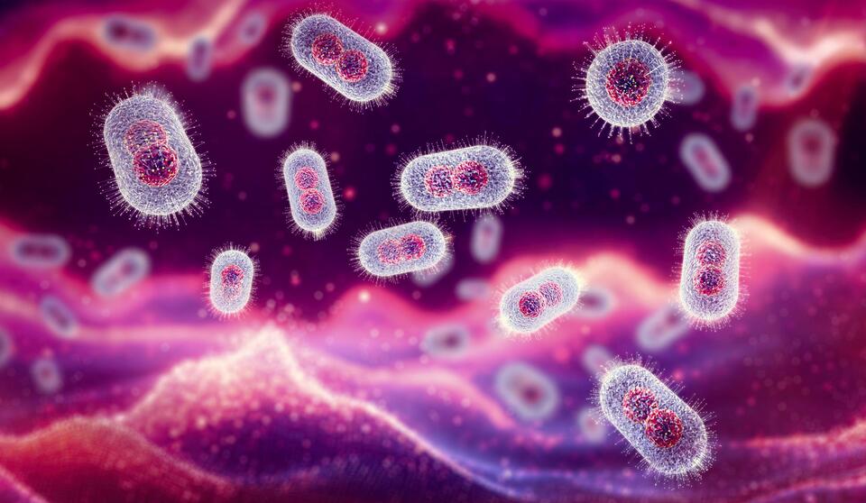 How to tell if you have an Mpox skin rash and other symptoms - NewsBreak