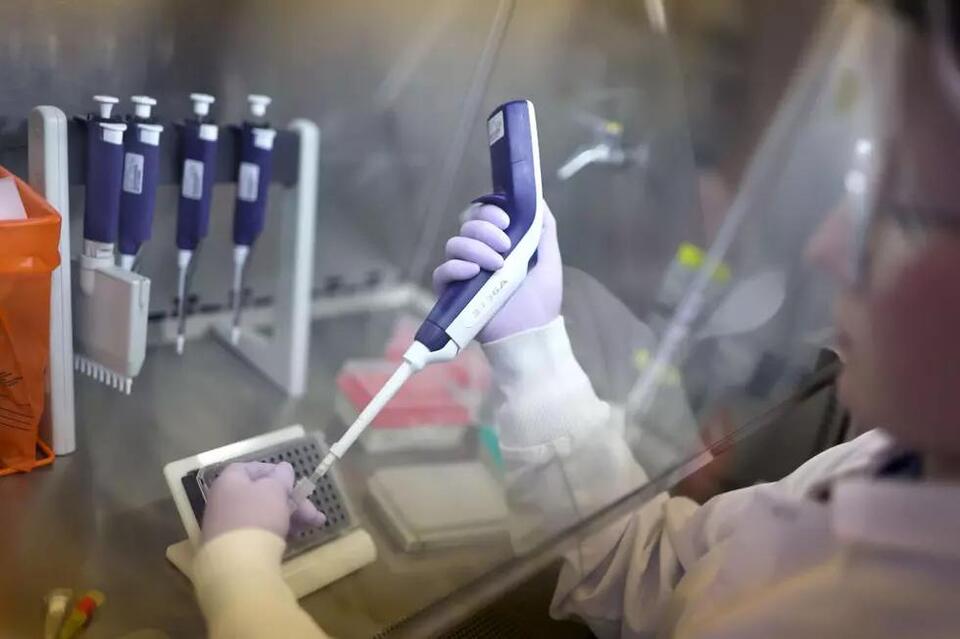 Yakima County Takes Precautions After Bird Flu Detected - NewsBreak