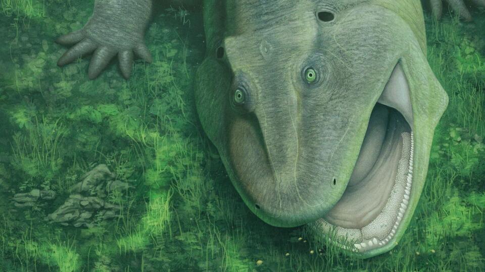Prehistoric water-dwelling weirdo with sideways teeth and a twisted jaw ...