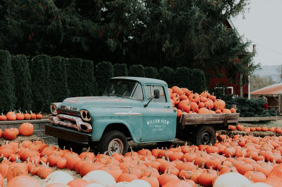 Missouri’s Top Pumpkin Patch for Fall Family Fun - NewsBreak