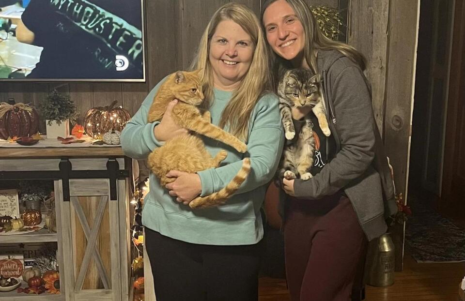 Love Finds Its Way Home: Two Cats Reunited After Three Years Apart ...