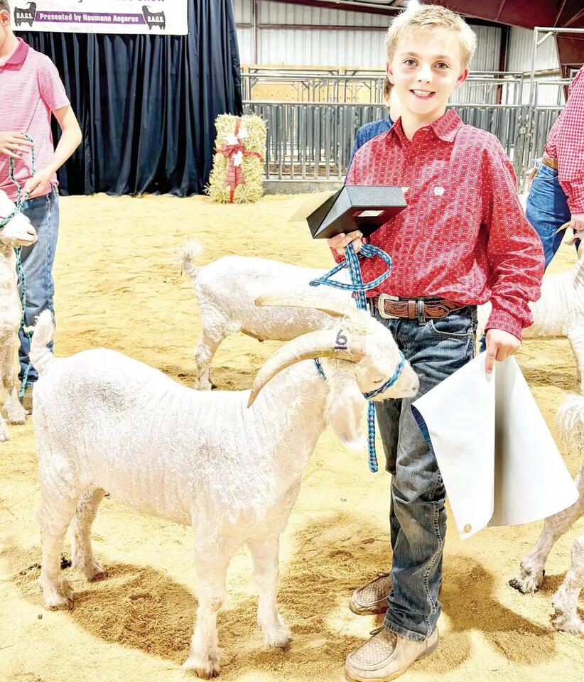 Angora Goat Show - NewsBreak