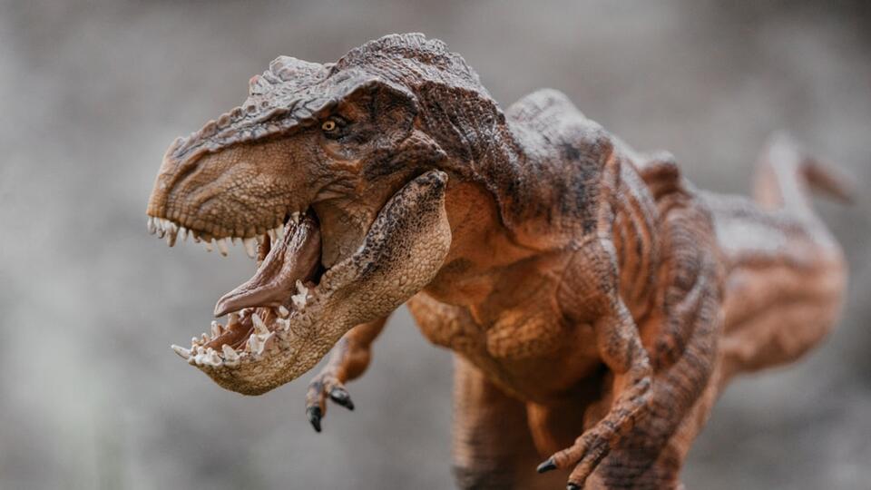 5 Theories About How the T. rex Hunted - NewsBreak