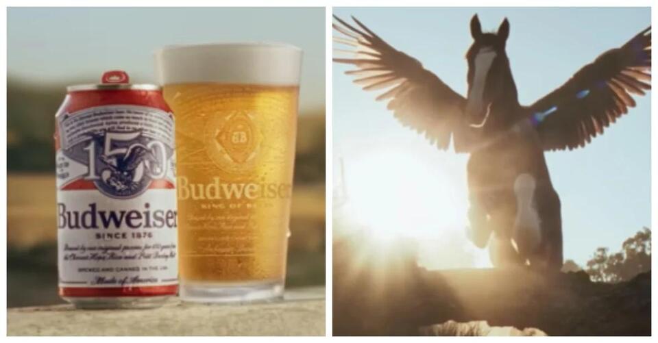 Budweiser Super Bowl Commercial Reclaims Top Spot For Best Ad – Watch ...