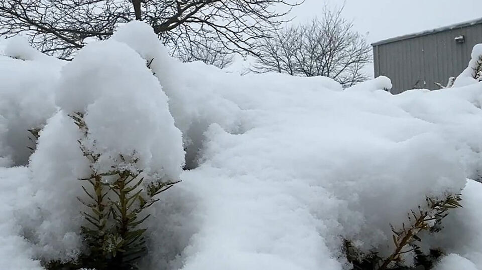 Here's how much snow has fallen so far - NewsBreak