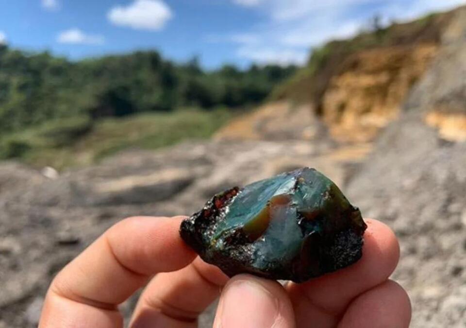 First Mesozoic amber deposits have been discovered in South America ...