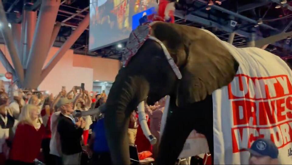 Bizarre Texas GOP Event Literally Soiled By Elephant Appearance - NewsBreak