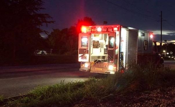 Waldorf Woman Hospitalized After Cane Corso Dog Attack, Animal Seized ...