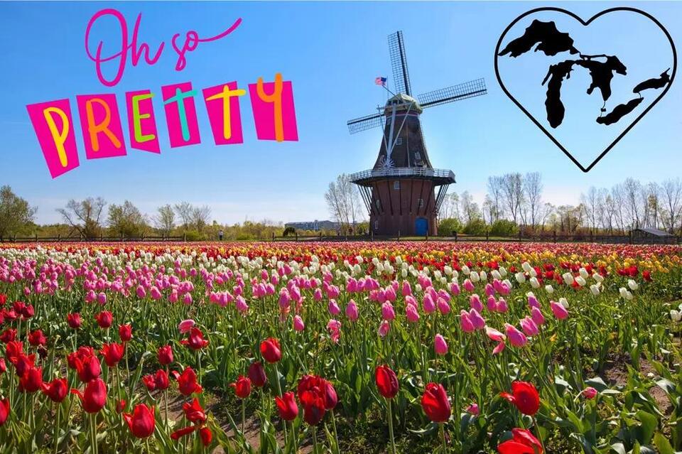 13 Michigan Communities Now Named ‘Prettiest Towns’ In The State ...