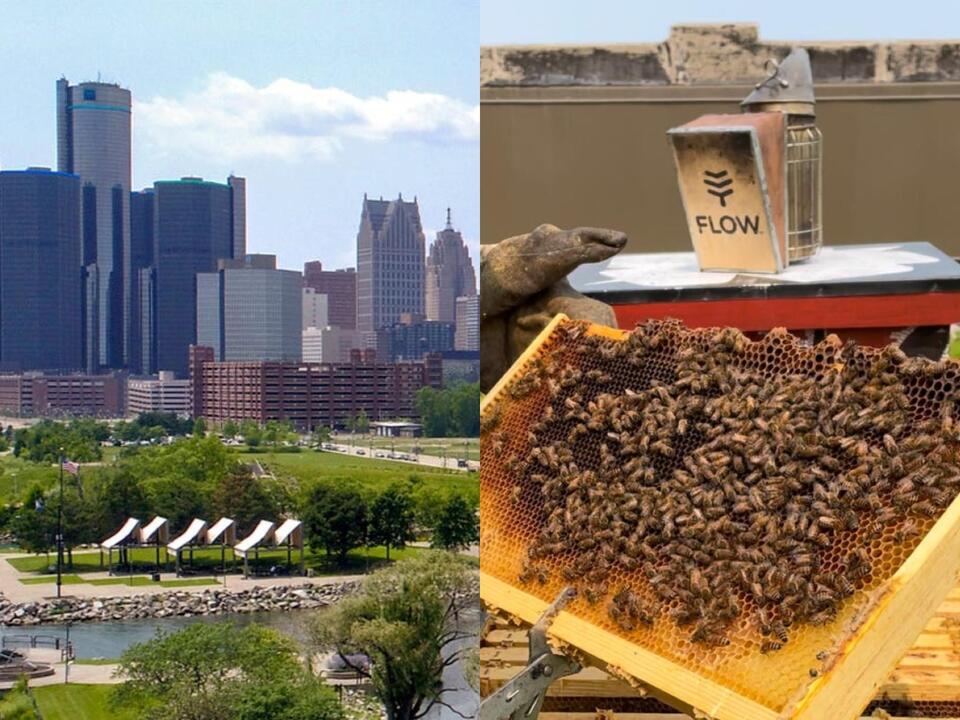 The rooftops of these famous Detroit buildings are home to millions of ...