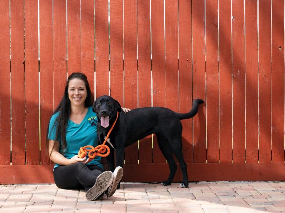 Jacque Petrone’s Instinct for Animals