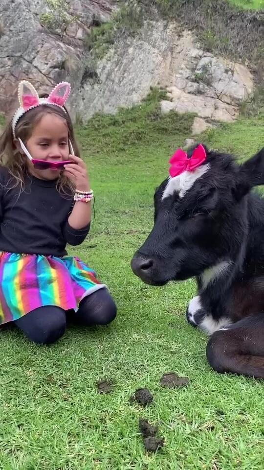 Si pasas mas tiempo con los animales CORRES el RIESGO de de voverte ...