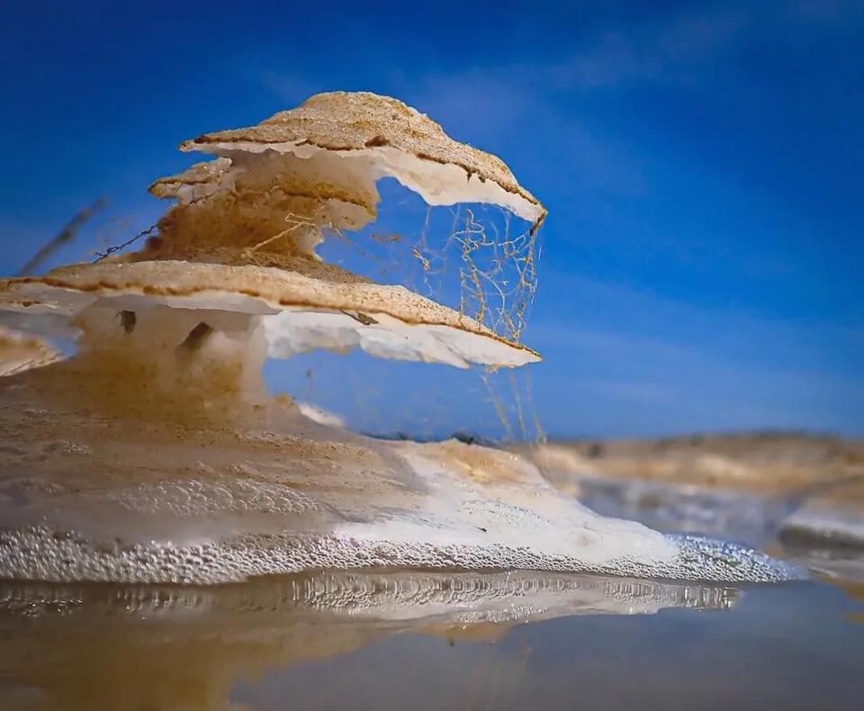The alien salt-scapes of the South Bay shine in these photos - NewsBreak