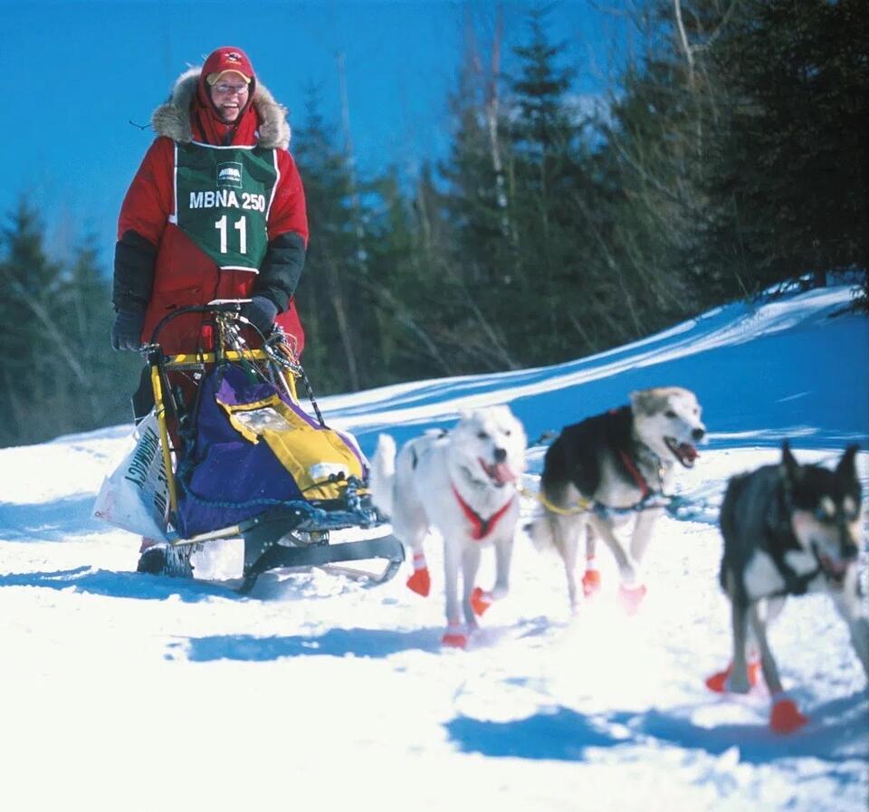 Sled Dog presentation to kick off Thanksgiving week programs at Grand ...
