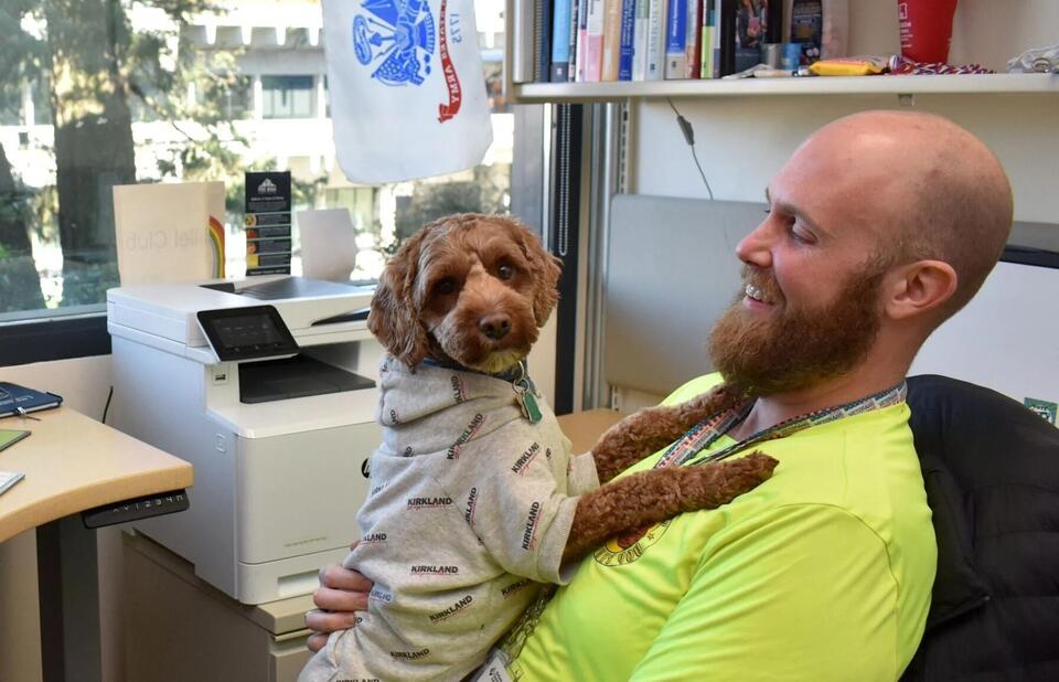 Look, it's Bob the Dog! Local labradoodle becomes center of PCC's ...