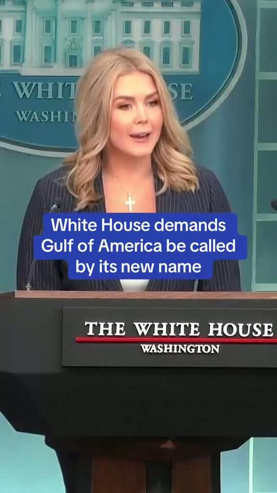 During a press briefing, White House Press Secretary Karoline Leavitt reiterated the importance ...
