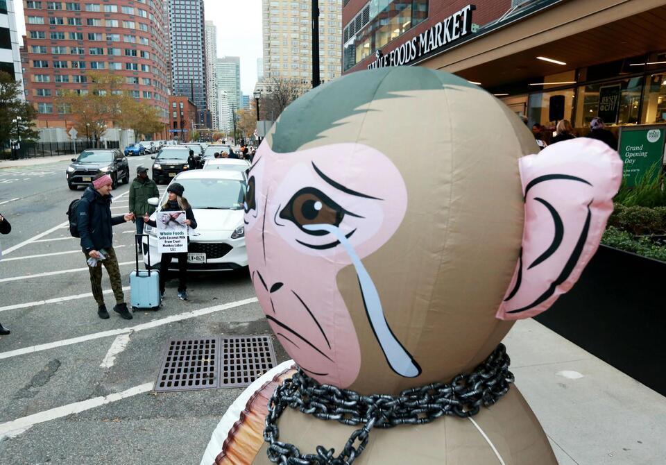PETA protests grand opening of NJ Whole Foods for sale of Thai coconut ...