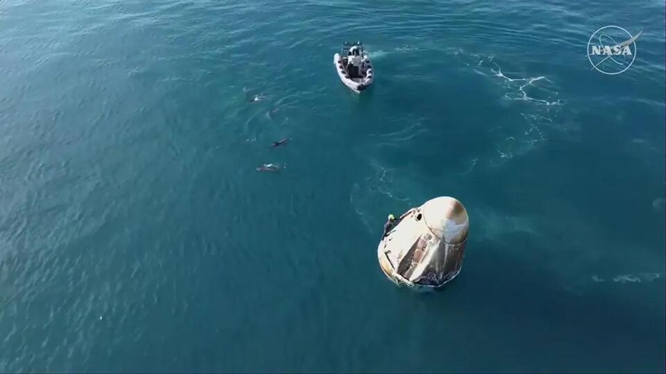 SpaceX Crew-9 capsule 'welcomed' by dolphins after splashdown - NewsBreak