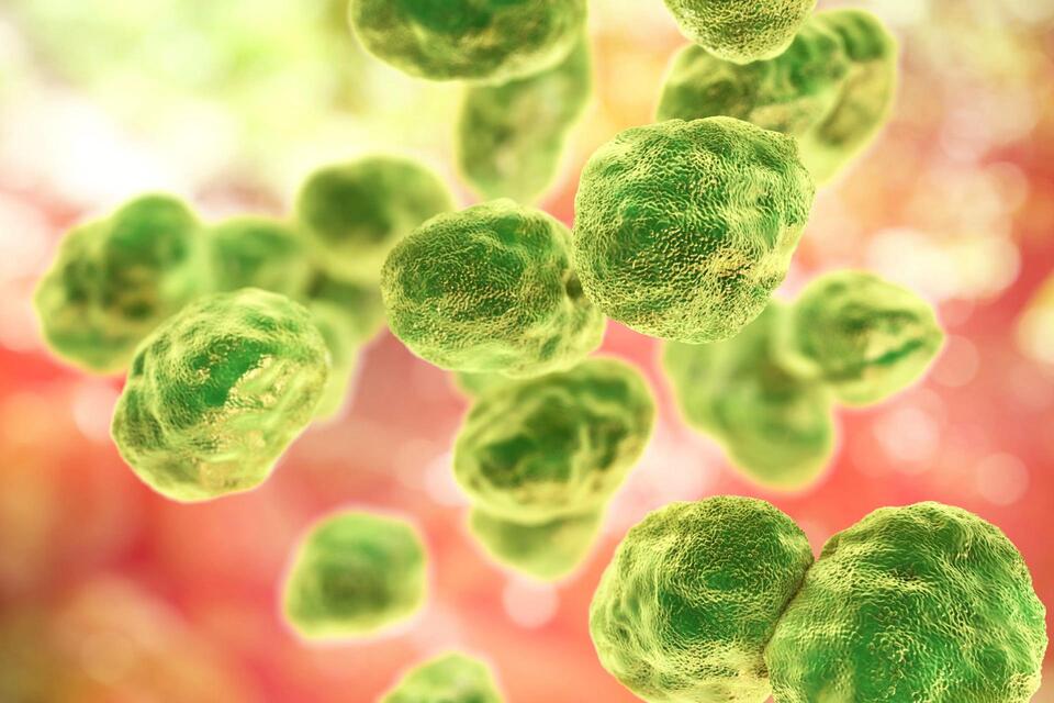 Case of tularemia reported in Colorado - NewsBreak