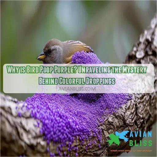 Why is Bird Poop Purple? Unraveling the Mystery Behind Colorful ...