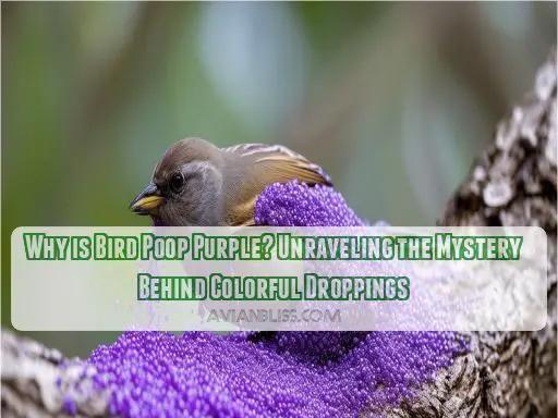 Why is Bird Poop Purple? Unraveling the Mystery Behind Colorful ...