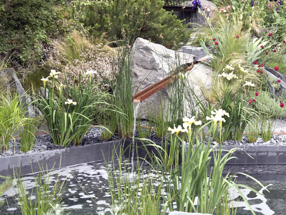 How to reduce water waste in your yard – 5 water-saving solutions for ...