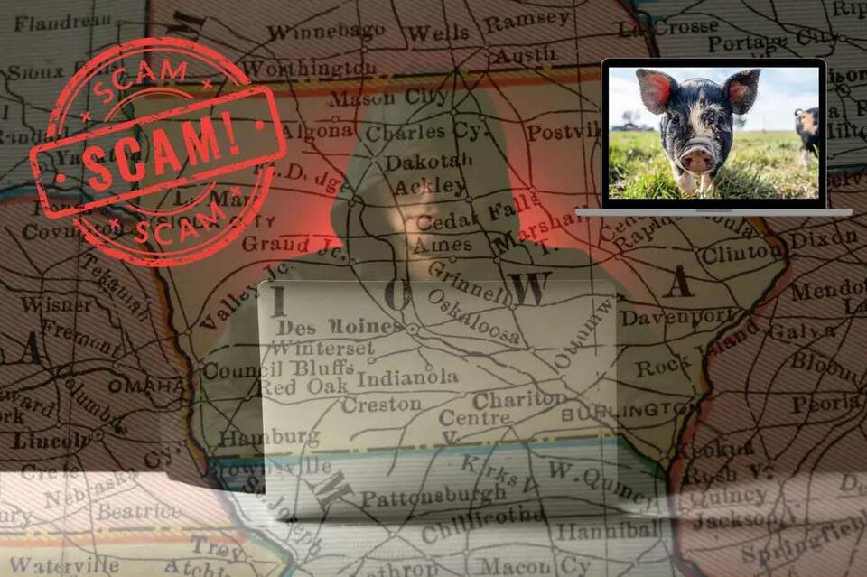 FBI Warns Iowans About Pig Butchering Scam – What You Need to Know ...