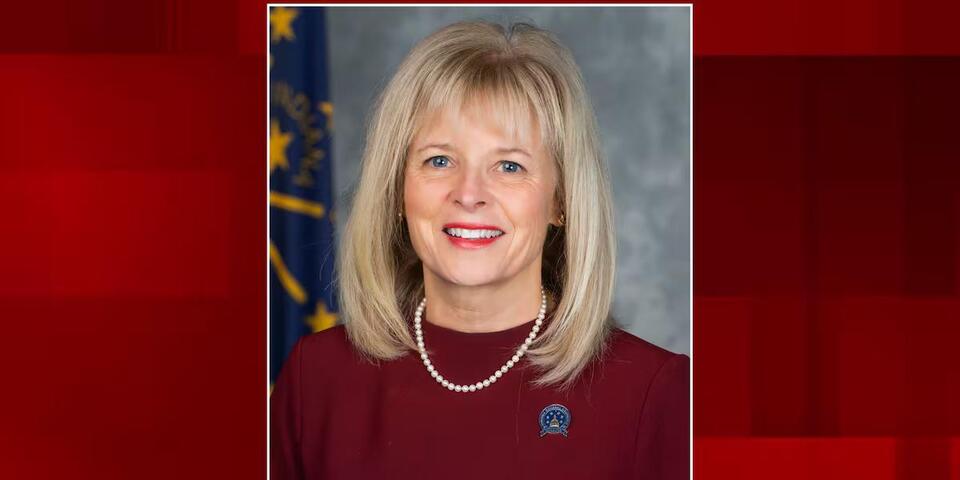 State Sen. Liz Brown announces run for re-election - NewsBreak