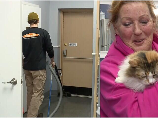 Livonia animal wellness center faces uncertain future after devastating ...