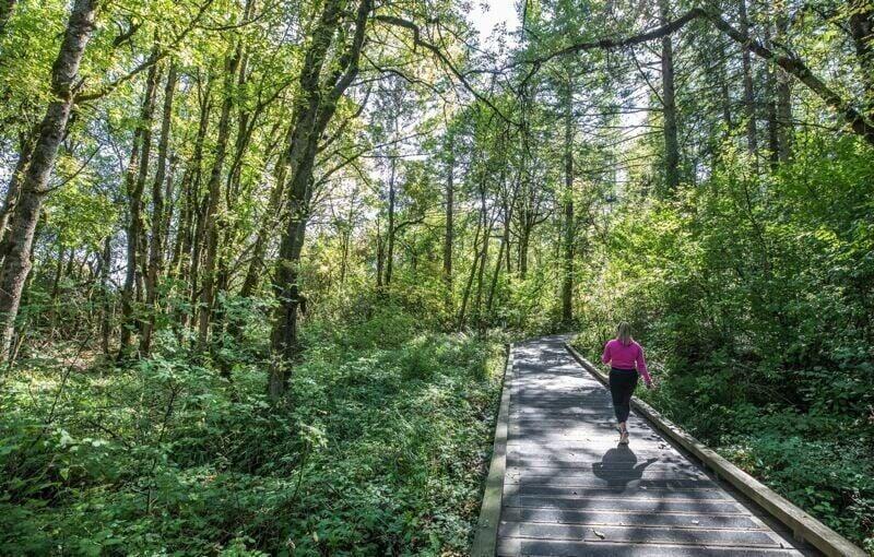 THPRD, Beaverton aren't closing parks, trails amid recent court ruling ...