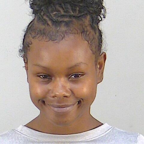 ‘Erratic’ woman arrested after fleeing from police with children in her ...