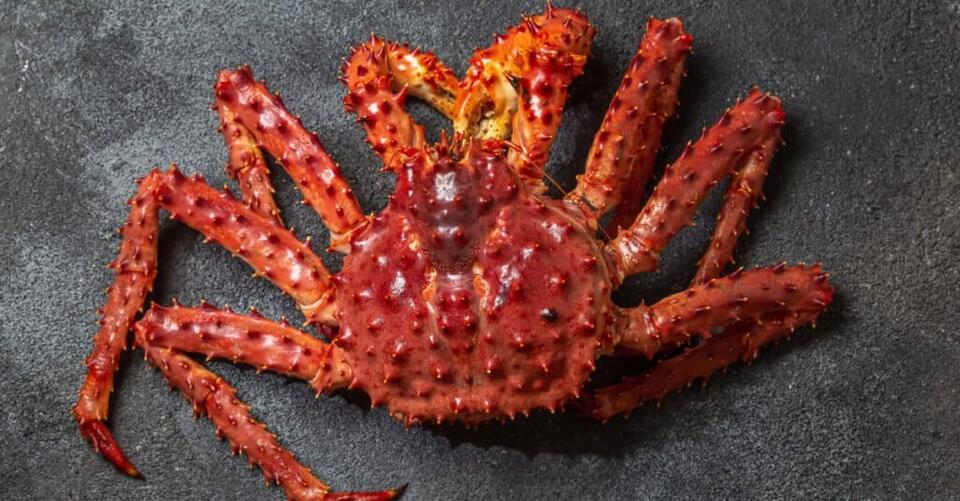 King Crab Market Prices in 2024: What to Expect When Buying - NewsBreak