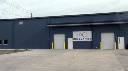 Innovafeed suspends operations at Decatur facility - NewsBreak
