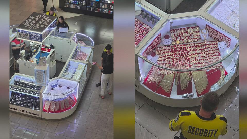 Police search for suspect in daring smash-and-grab at Ingram Park Mall ...