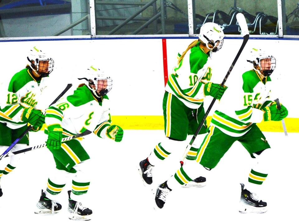 Hornet girls edge Red Knights in section girls hockey finals 5-4