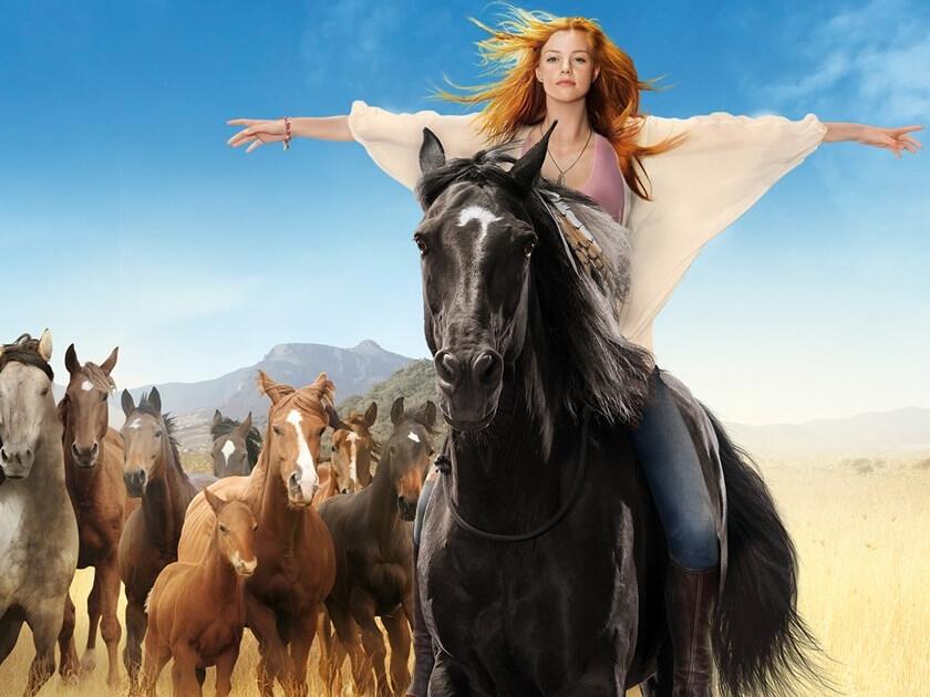 Windstorm 3 Streaming: Watch & Stream Online via Peacock