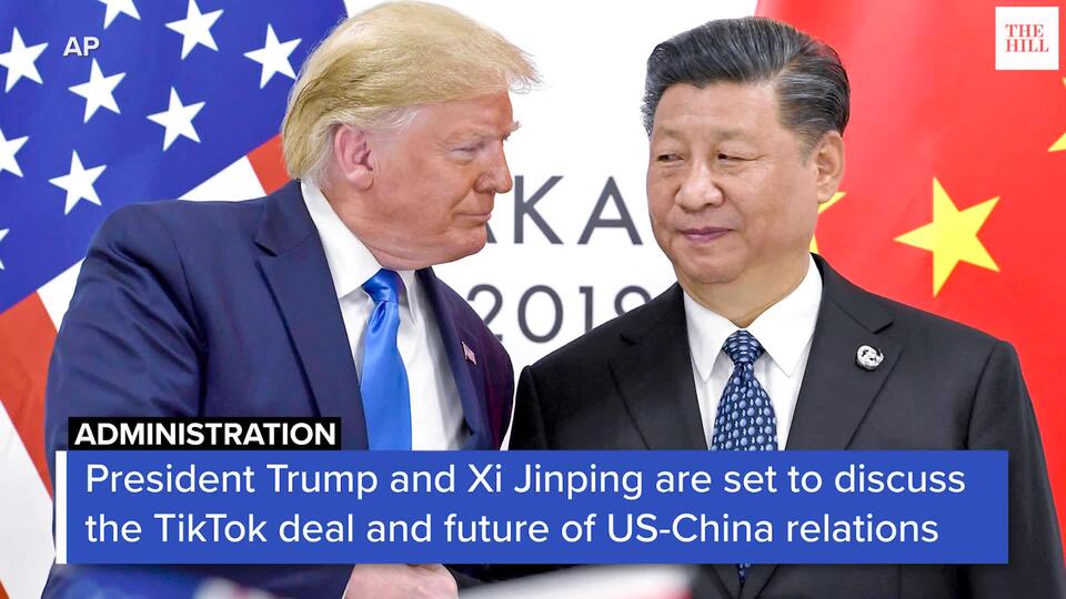 Judge throws out Trump suit against New York Times - NewsBreak