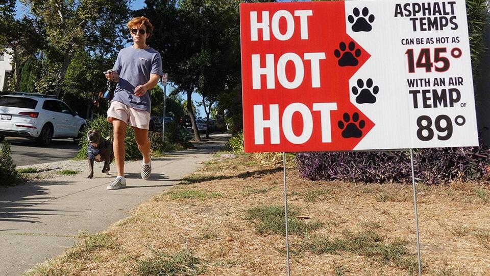 Extreme heat is becoming more common in the U.S. Here’s how to stay safe. - NewsBreak