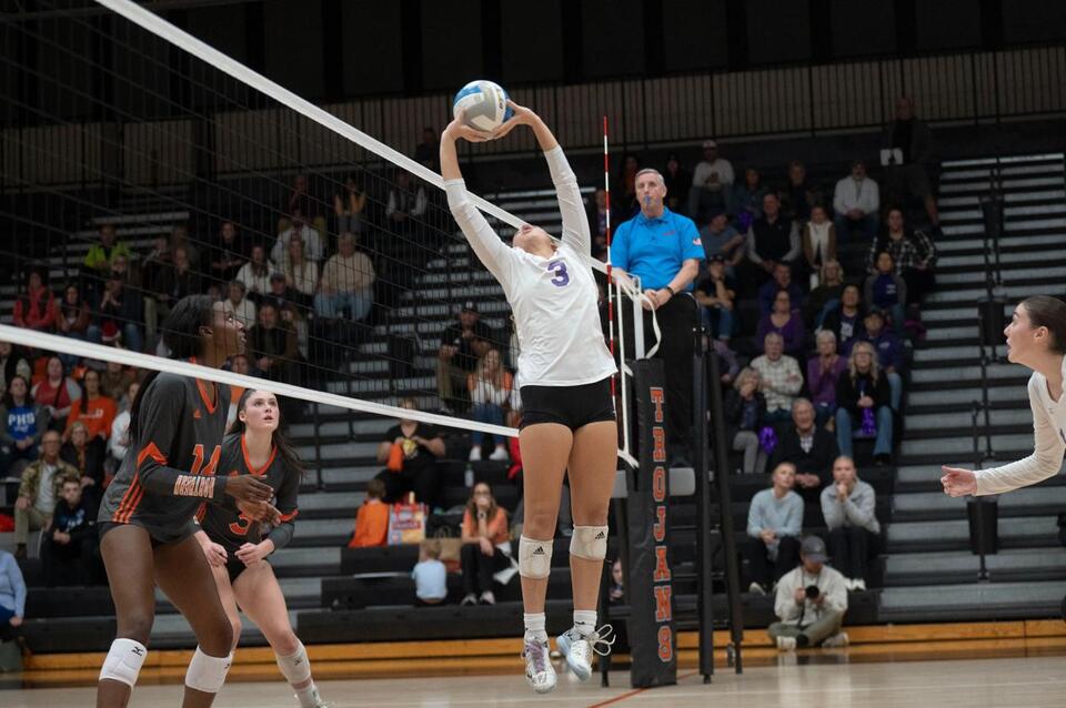 Who is best high school setter in volleyball in Battle Creek area? Vote ...