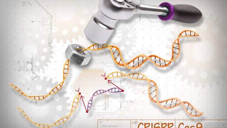 CRISPR and the Comeback of Extinct Animals - NewsBreak