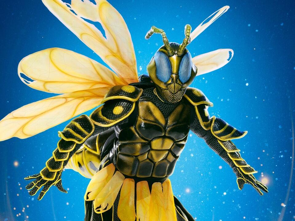 Who Is Wasp on 'The Masked Singer'?